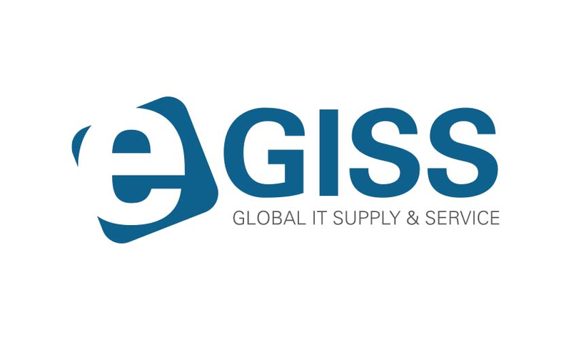 Company overview | Egiss - Global IT Logistics