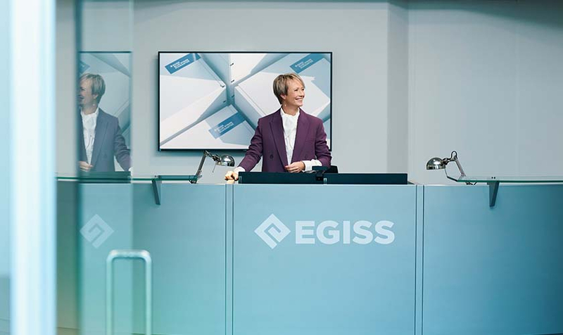 Company overview | Egiss - Global IT Logistics