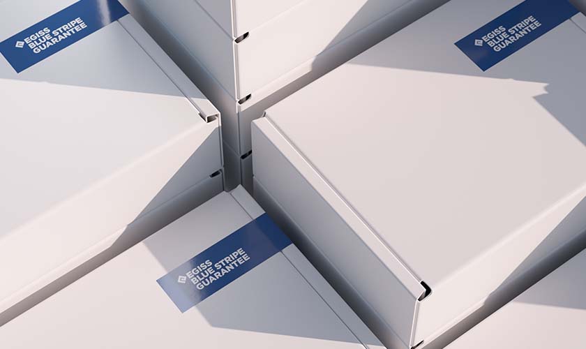 Company overview | Egiss